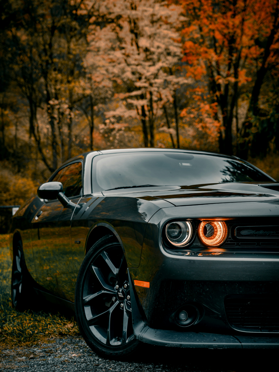 Dodge Challenger Srt | Car poster Wall Art – Siyyah
